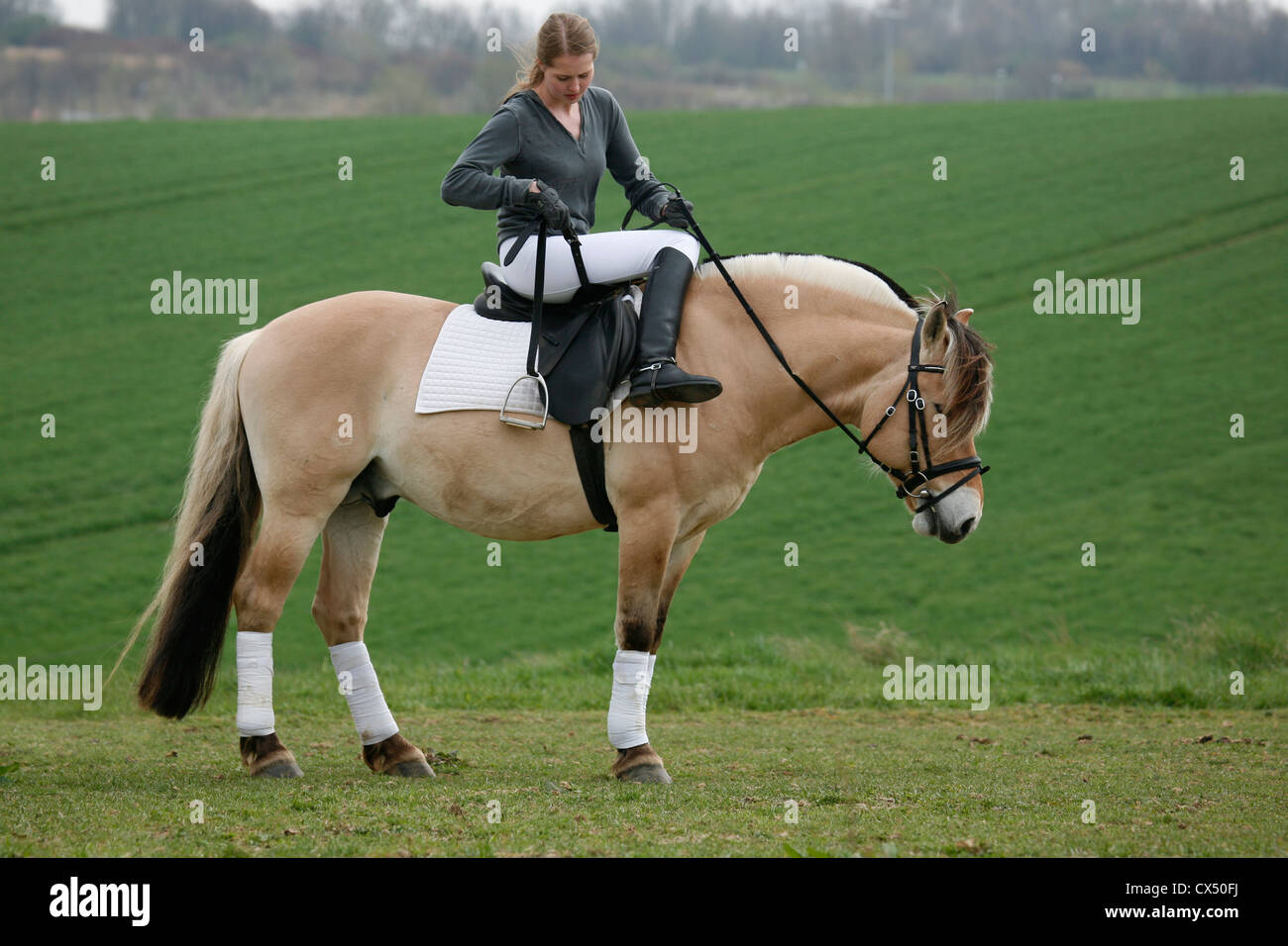 Riding ride rider horse hi-res stock photography and images - Alamy