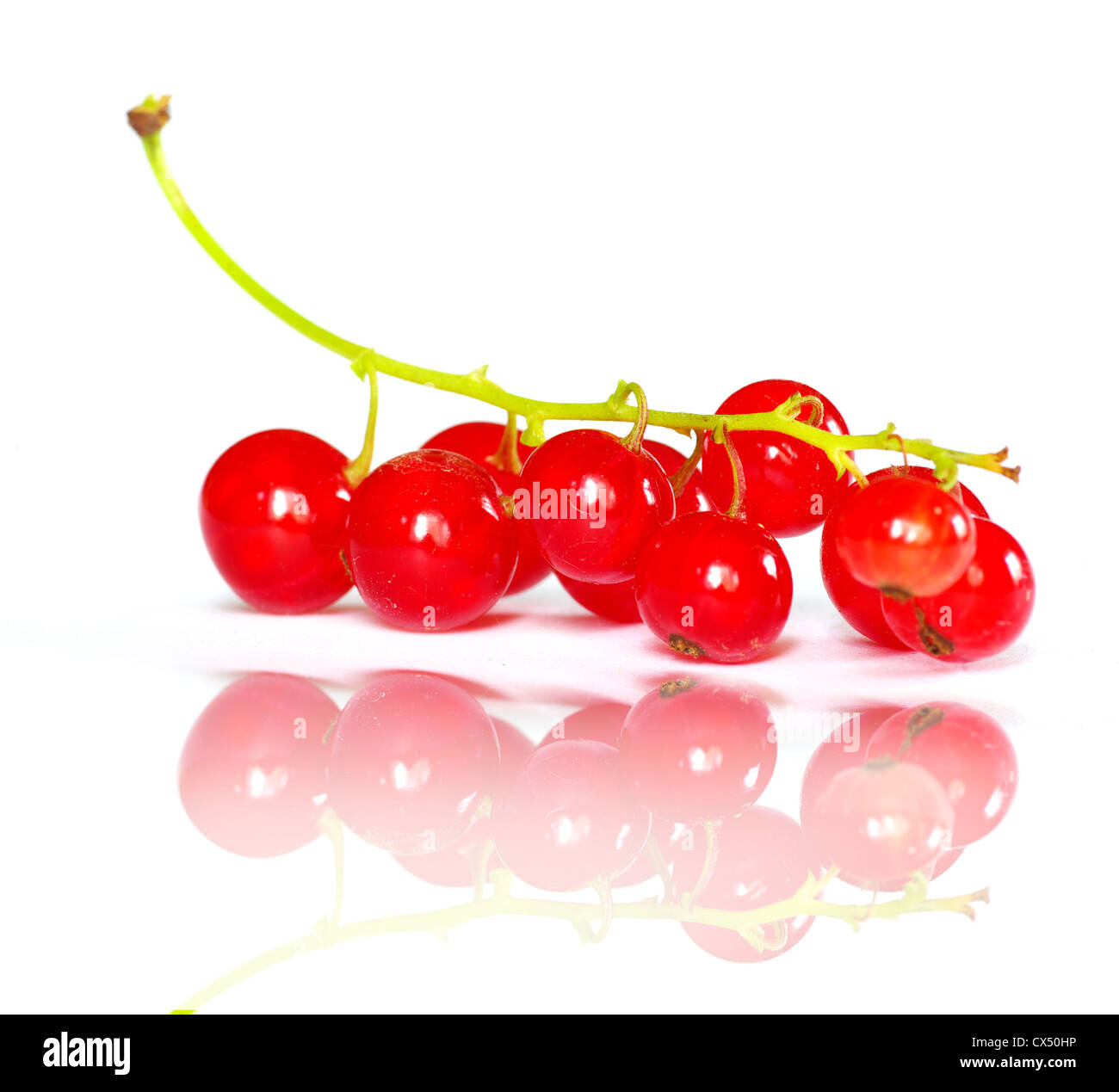 red currant isolated on a white background Stock Photo - Alamy