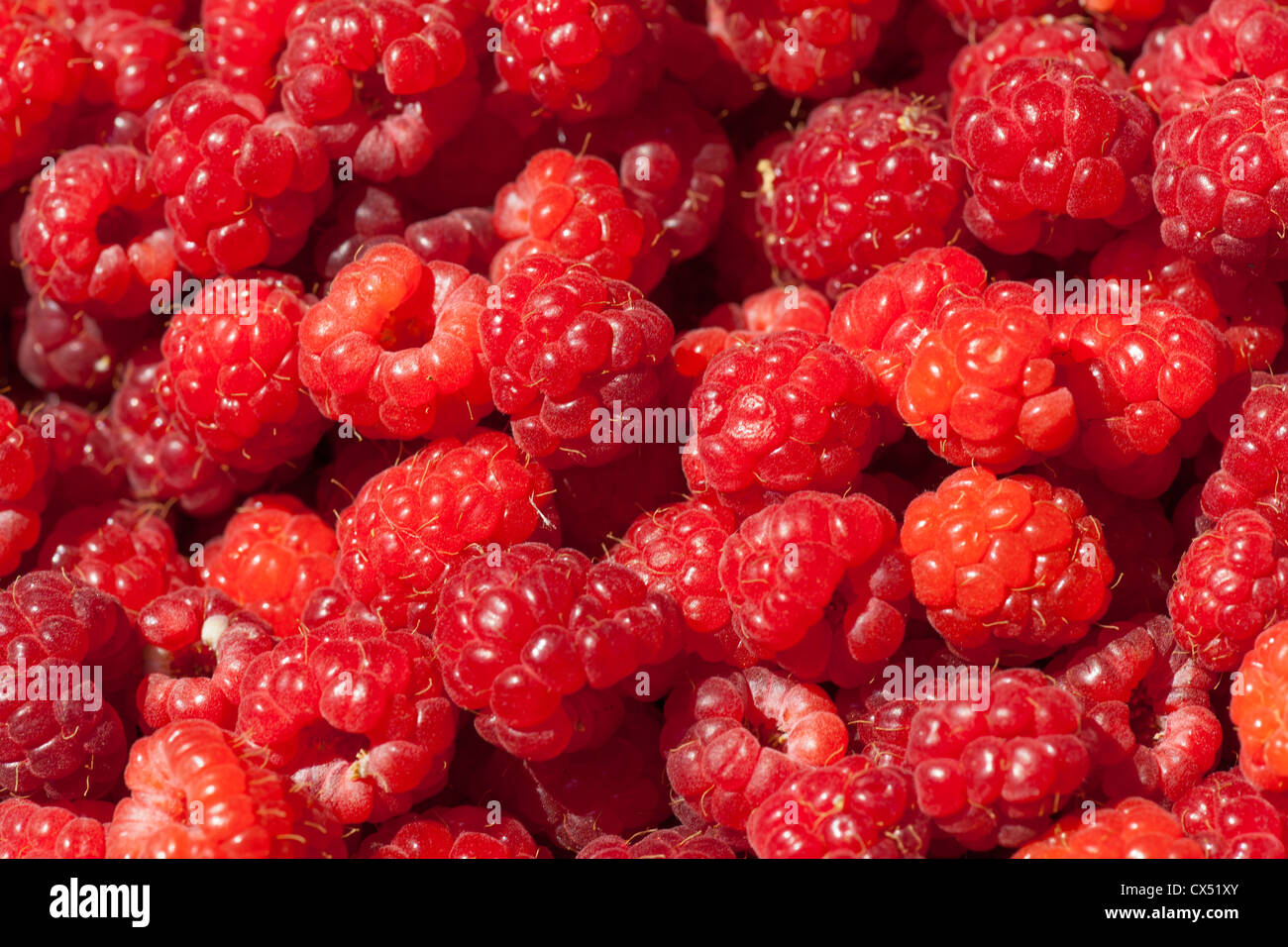 Red Fruit Raspberry background, macro shot Stock Photo - Alamy