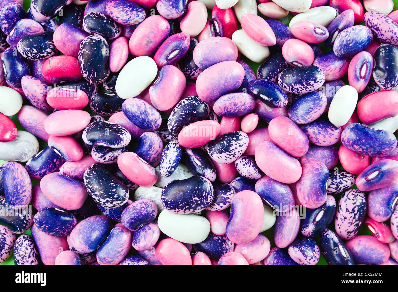 String bean seed hi-res stock photography and images - Alamy