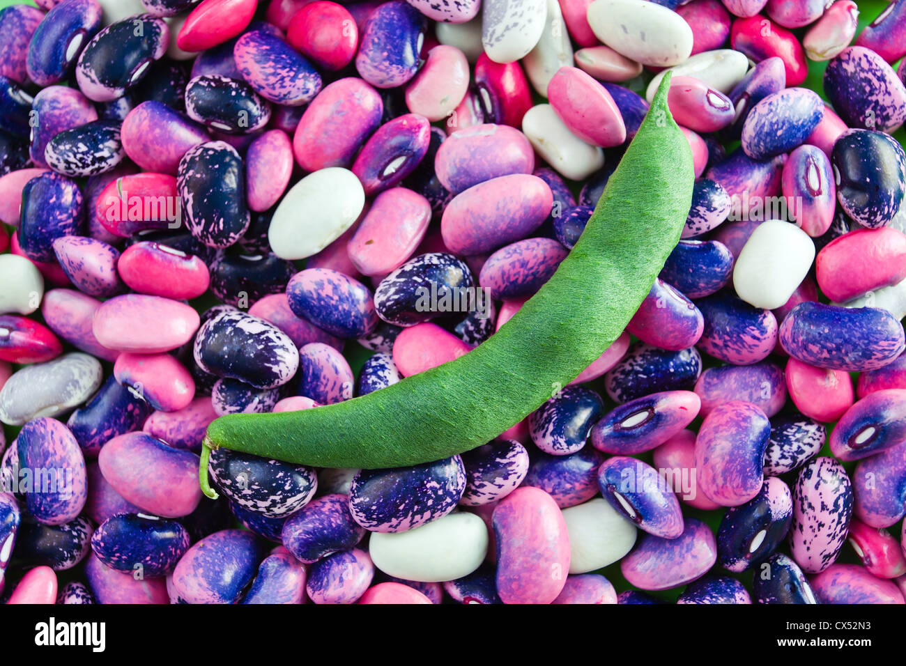 String bean seed hi-res stock photography and images - Alamy