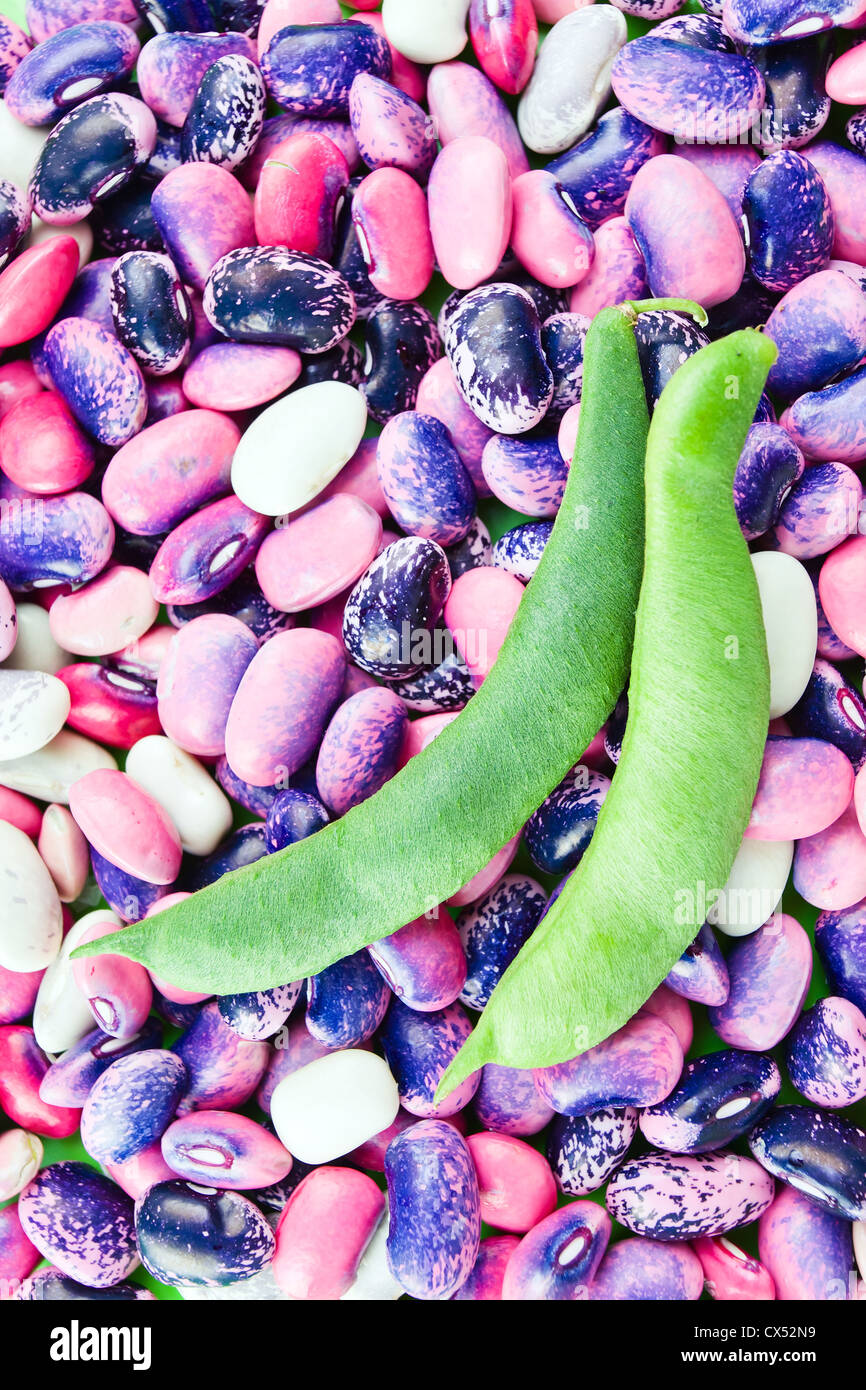 Multi-coloured string bean Stock Photo - Alamy