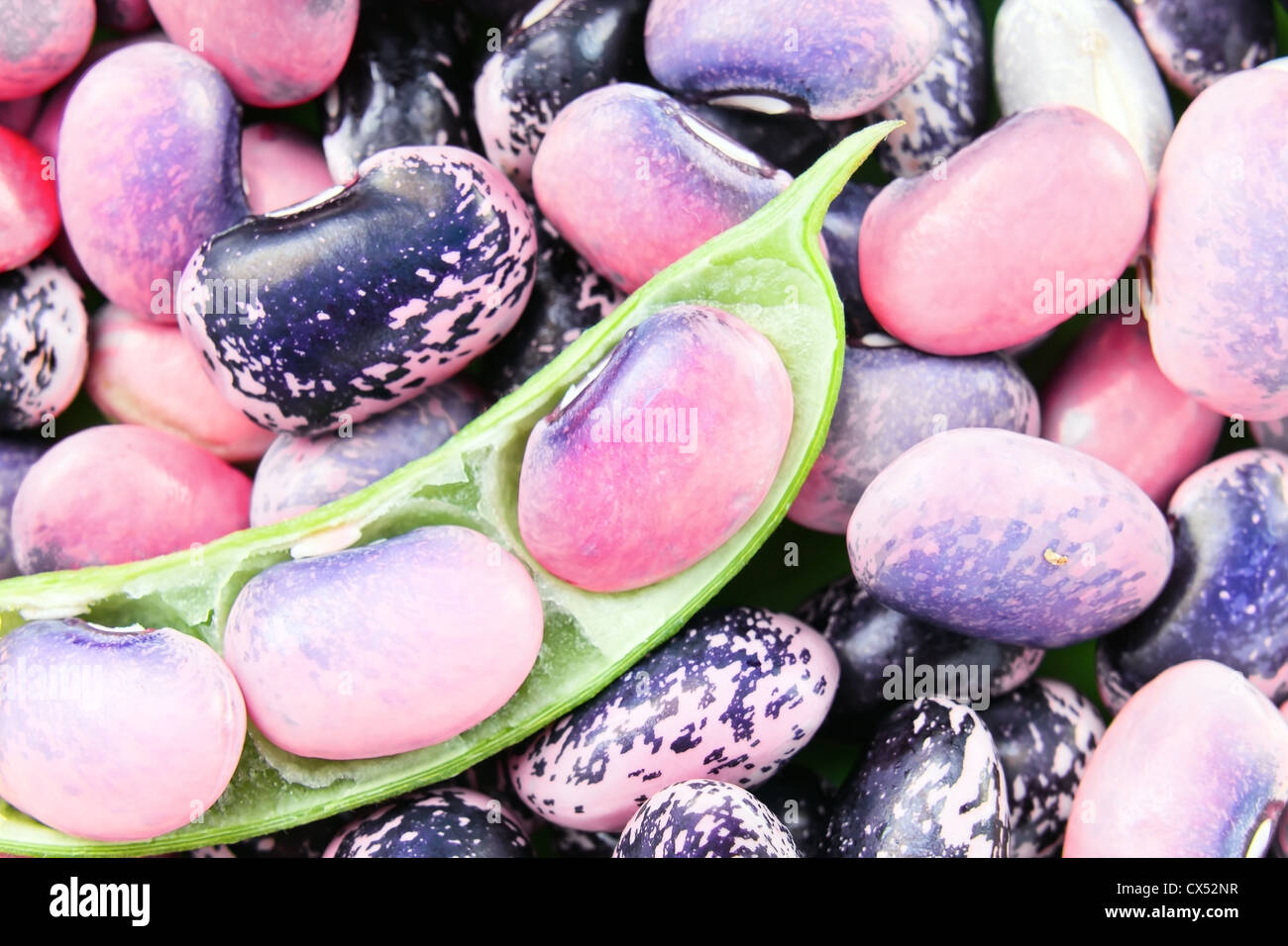 Multi-coloured string bean,macro shot , focus on a center Stock Photo ...