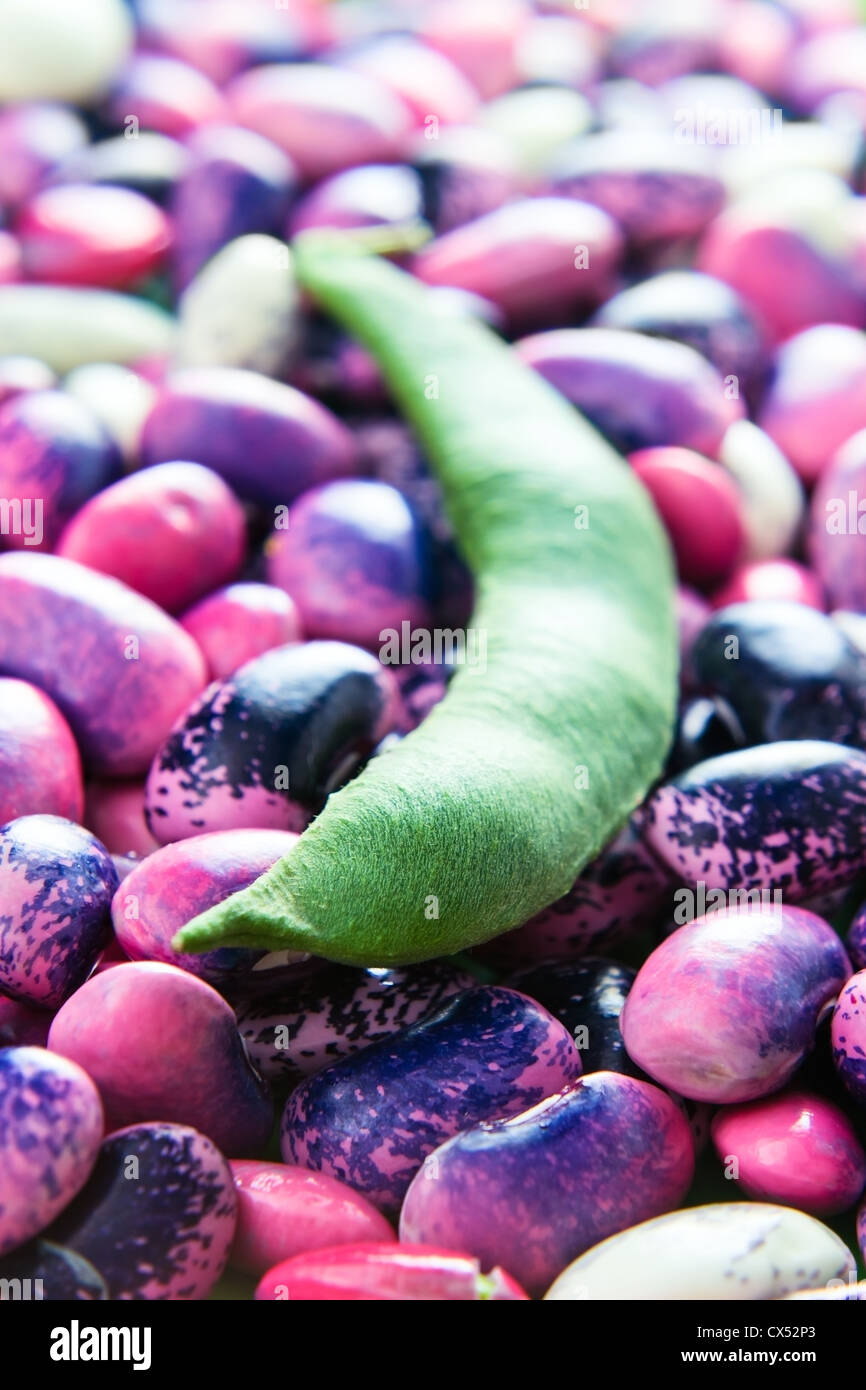 The string bean hi-res stock photography and images - Alamy