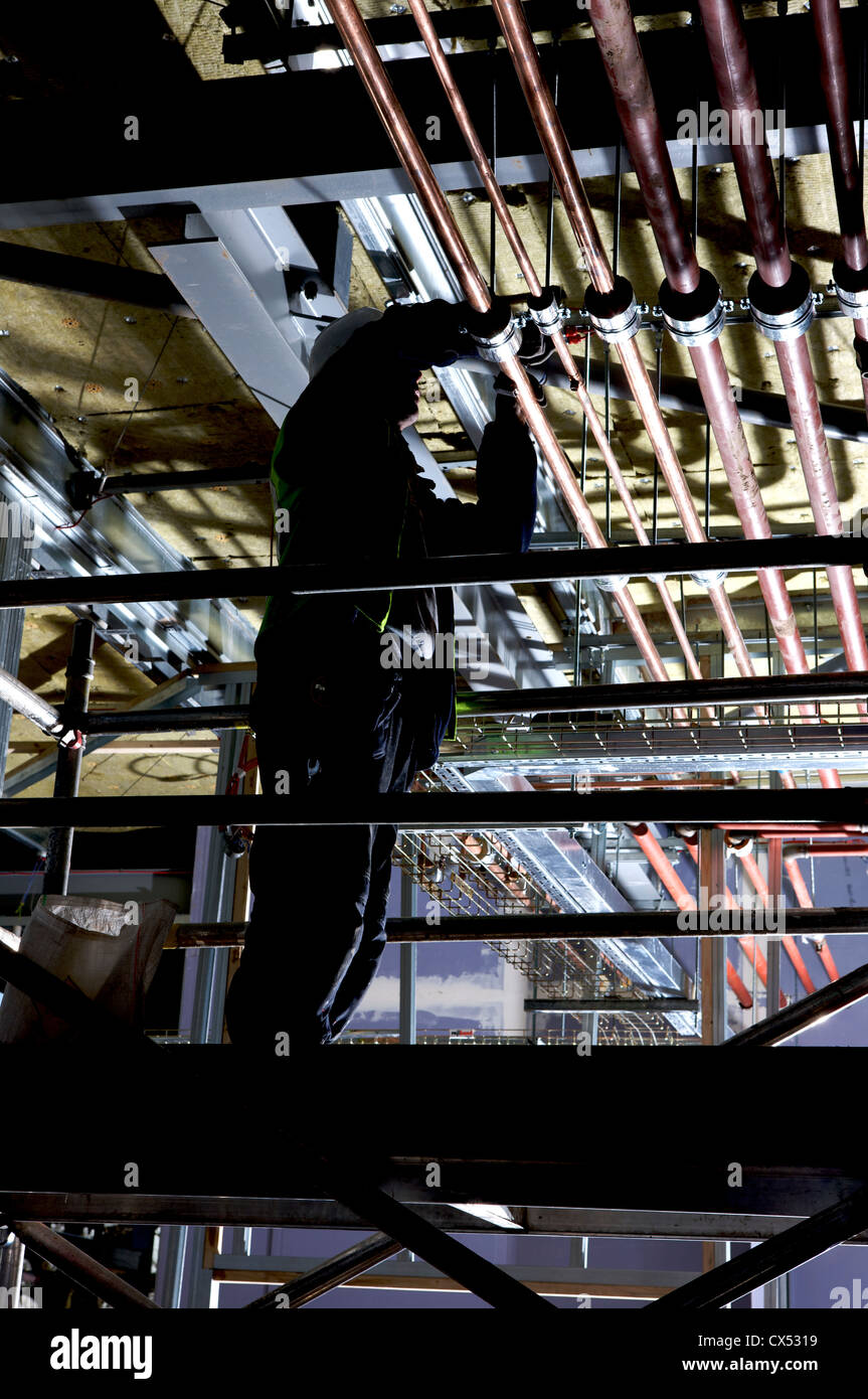 Mewp hi-res stock photography and images - Alamy