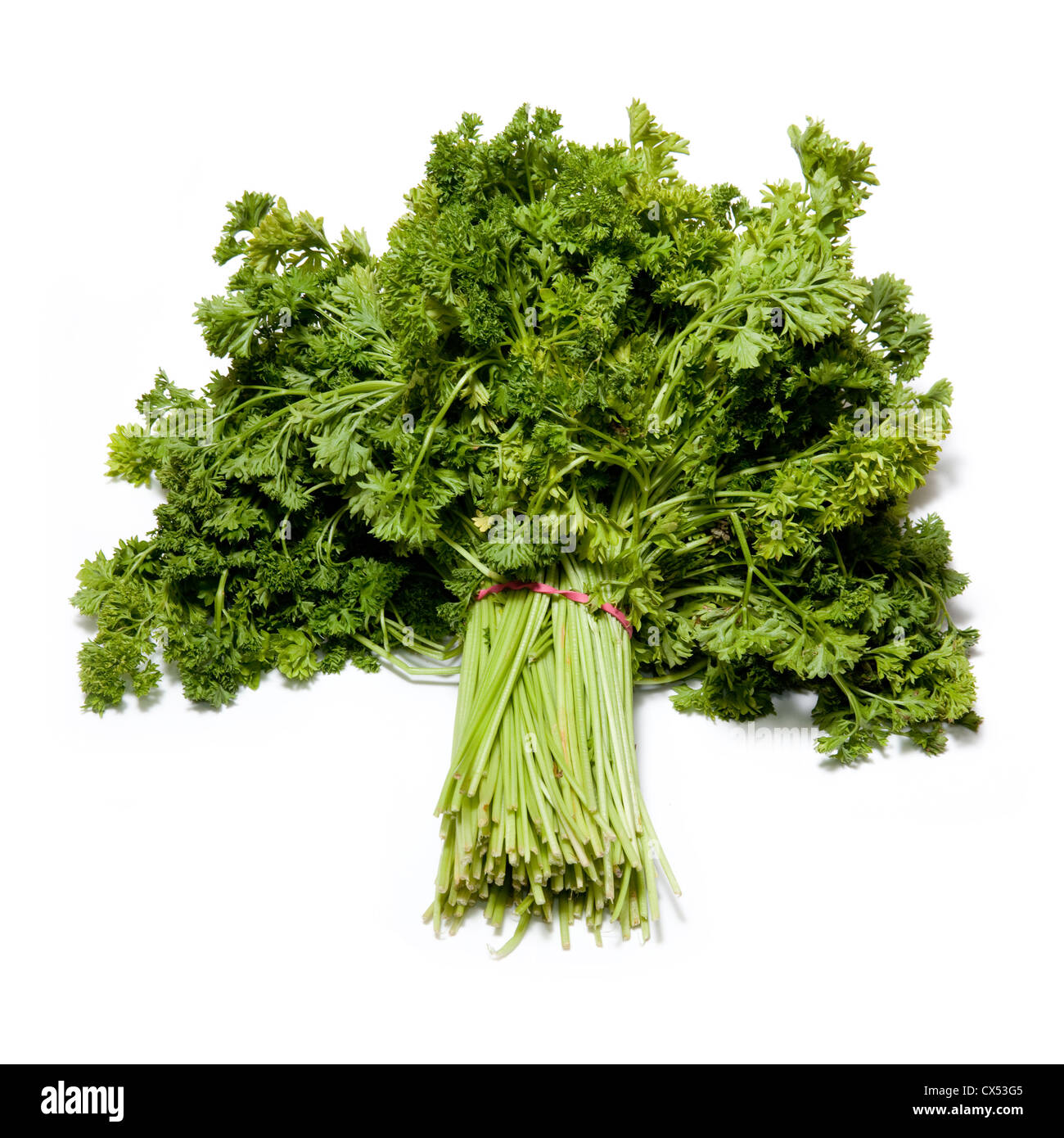 Bunch of parsley hi-res stock photography and images - Alamy
