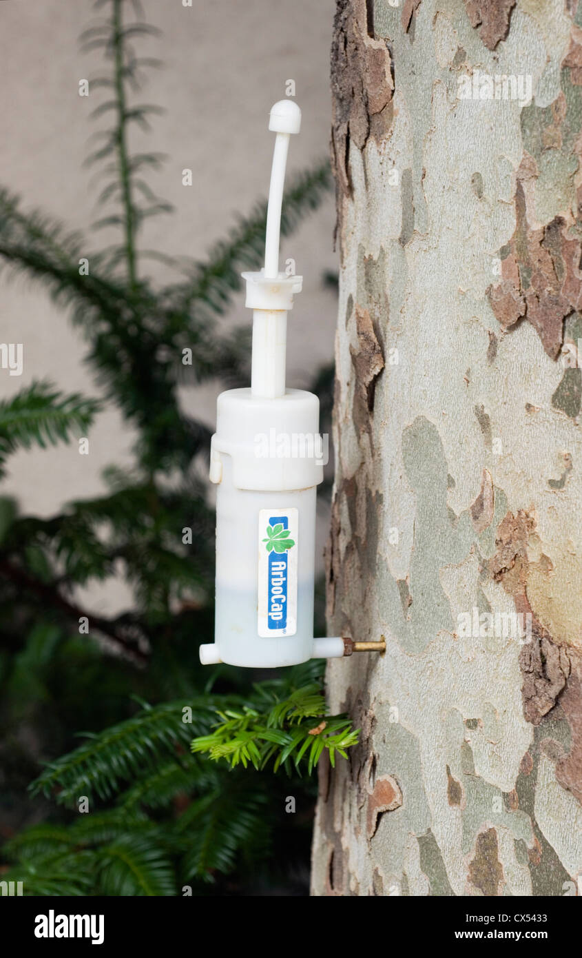 Tree Injection High Resolution Stock Photography and Images - Alamy