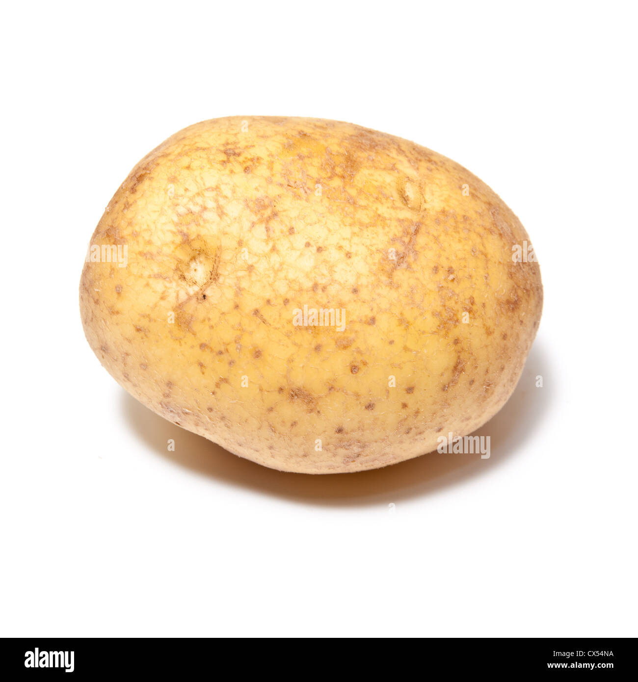 White Potato isolated on a studio background Stock Photo - Alamy