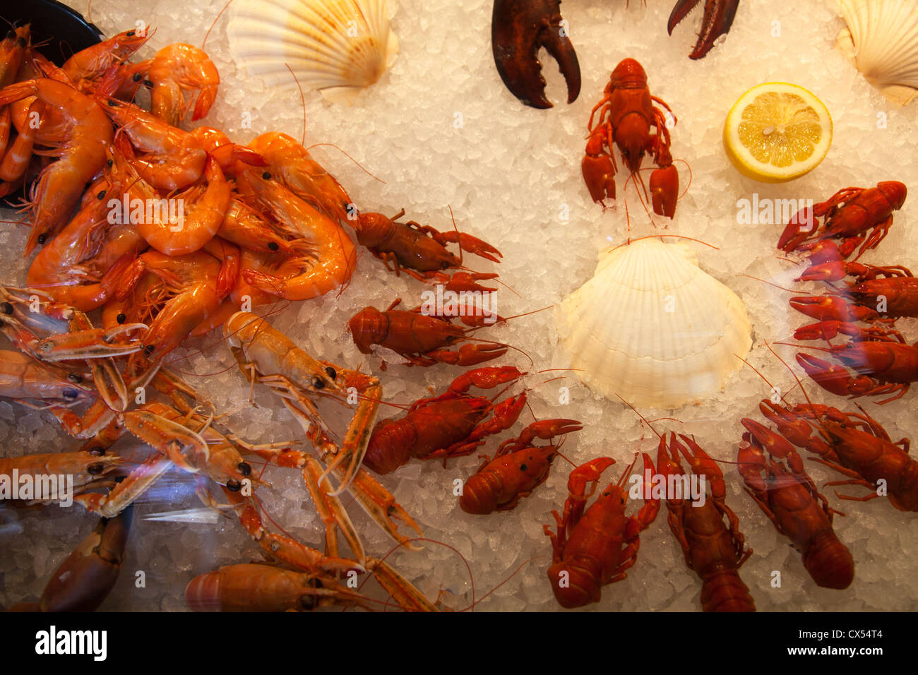 Display restaurant prawns lobster hi-res stock photography and images ...