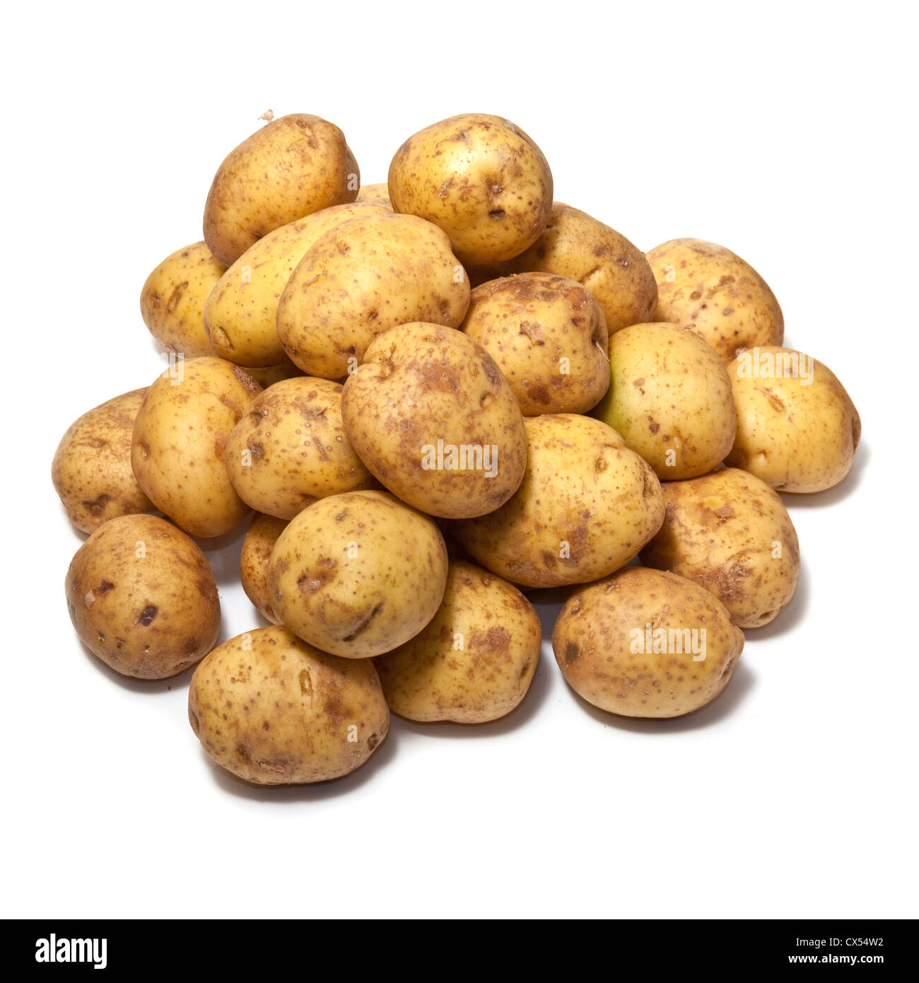 White Potatoes isolated on a white studio background Stock Photo - Alamy