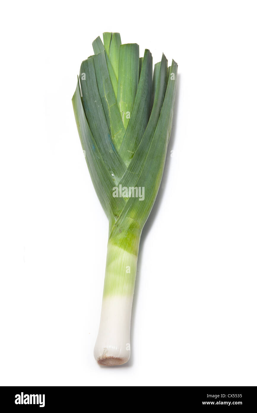 Large Leek isolated on a white studio background Stock Photo - Alamy