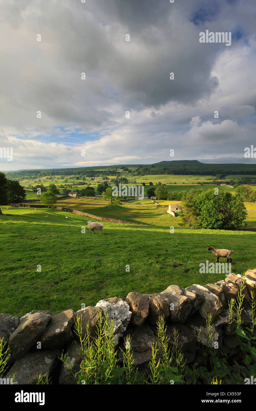 Askrigg village countryside rural hi-res stock photography and images ...