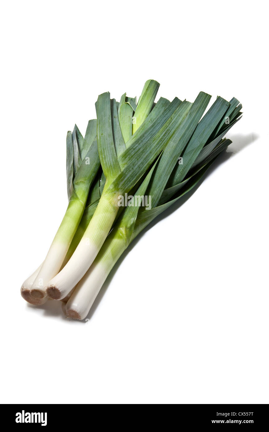 Bunch of large Leeks isolated on a white studio background Stock Photo ...