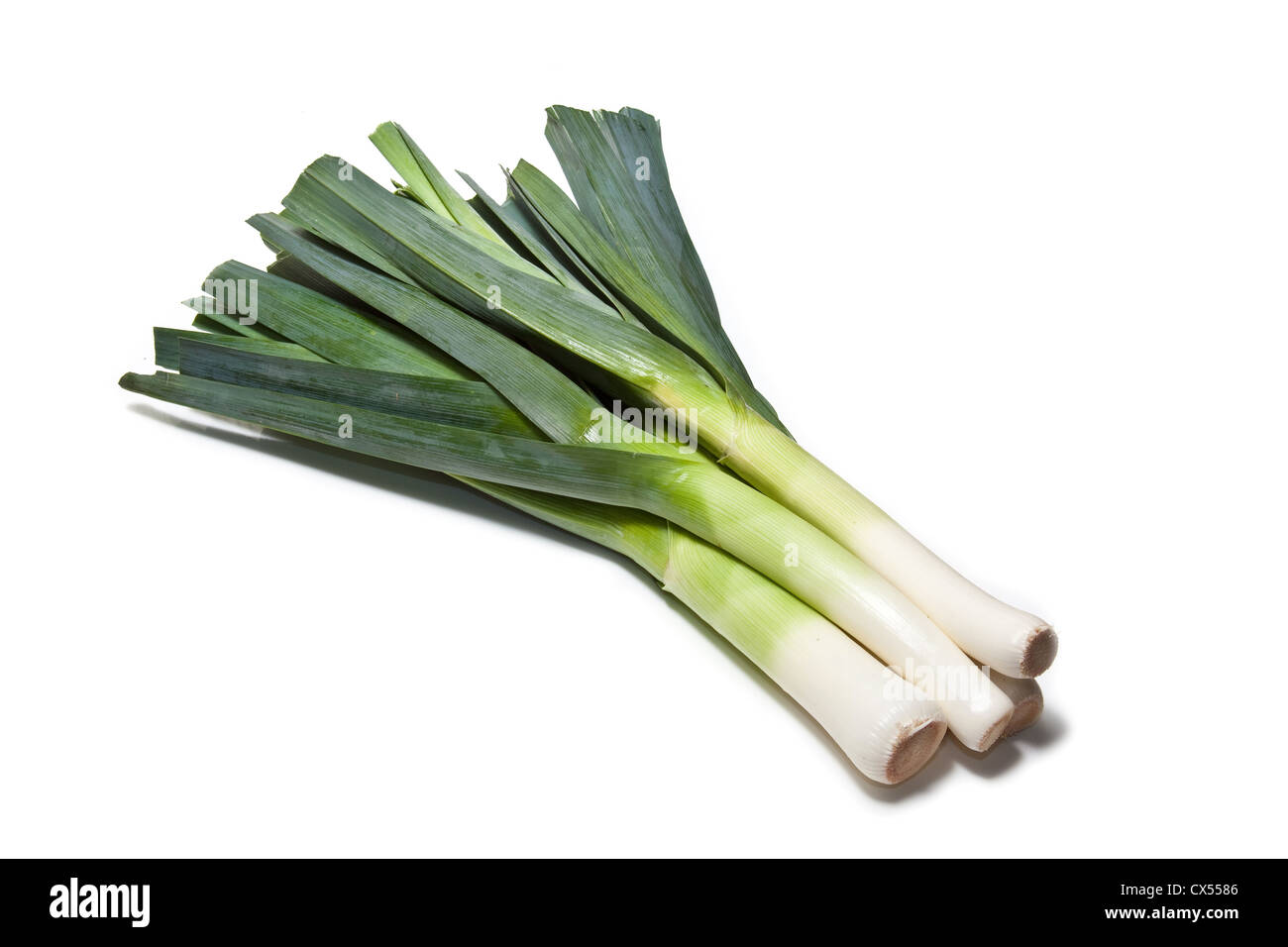 Bunch of large Leeks isolated on a white studio background Stock Photo ...