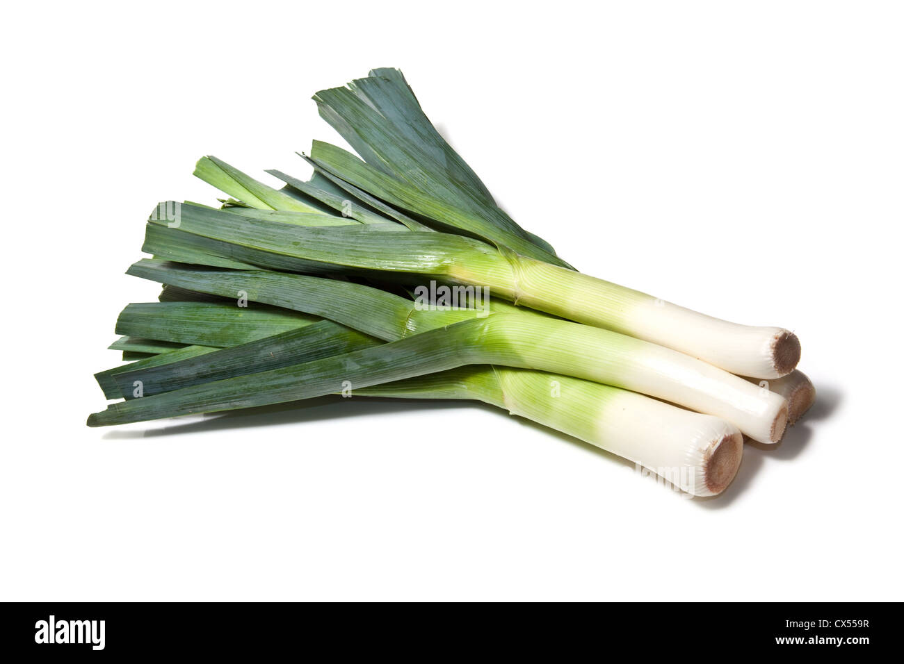 Bunch of large Leeks isolated on a white studio background Stock Photo ...