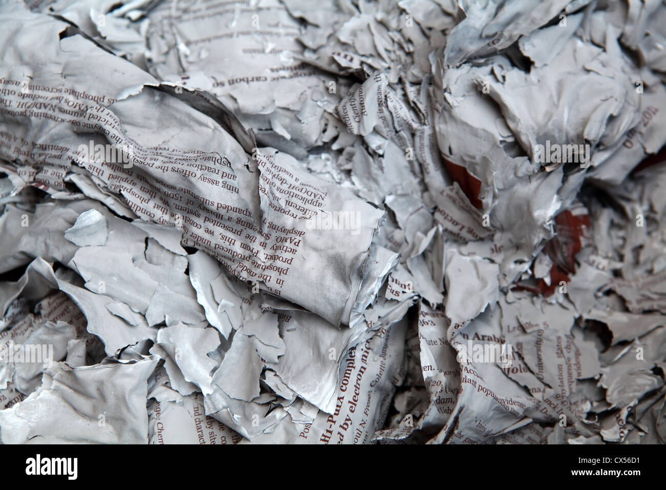 old burn scientific papers Stock Photo - Alamy