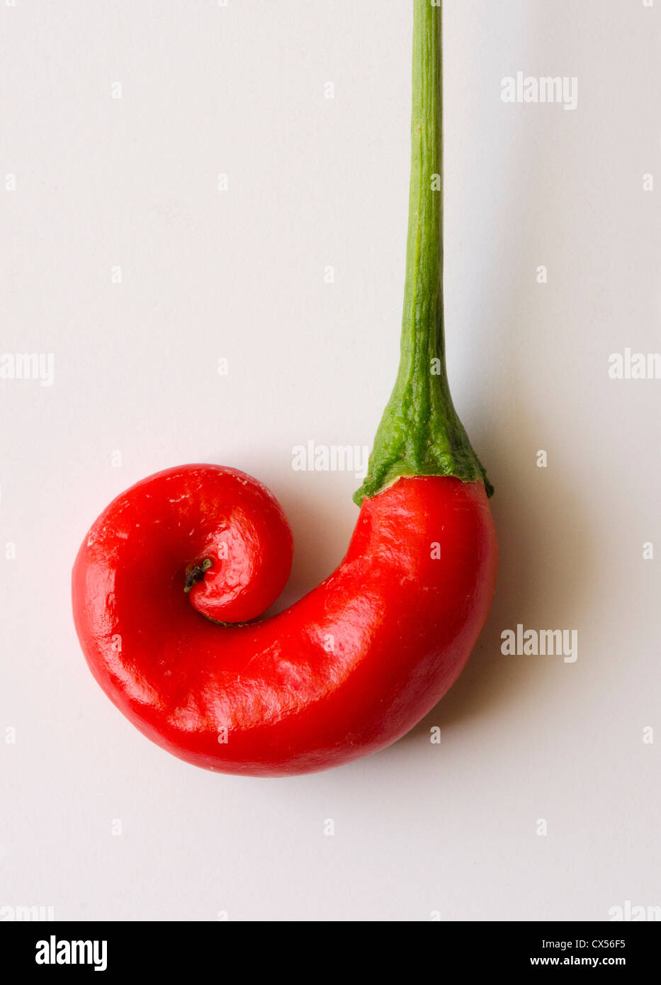 Curled red hot chile pepper hi-res stock photography and images - Alamy