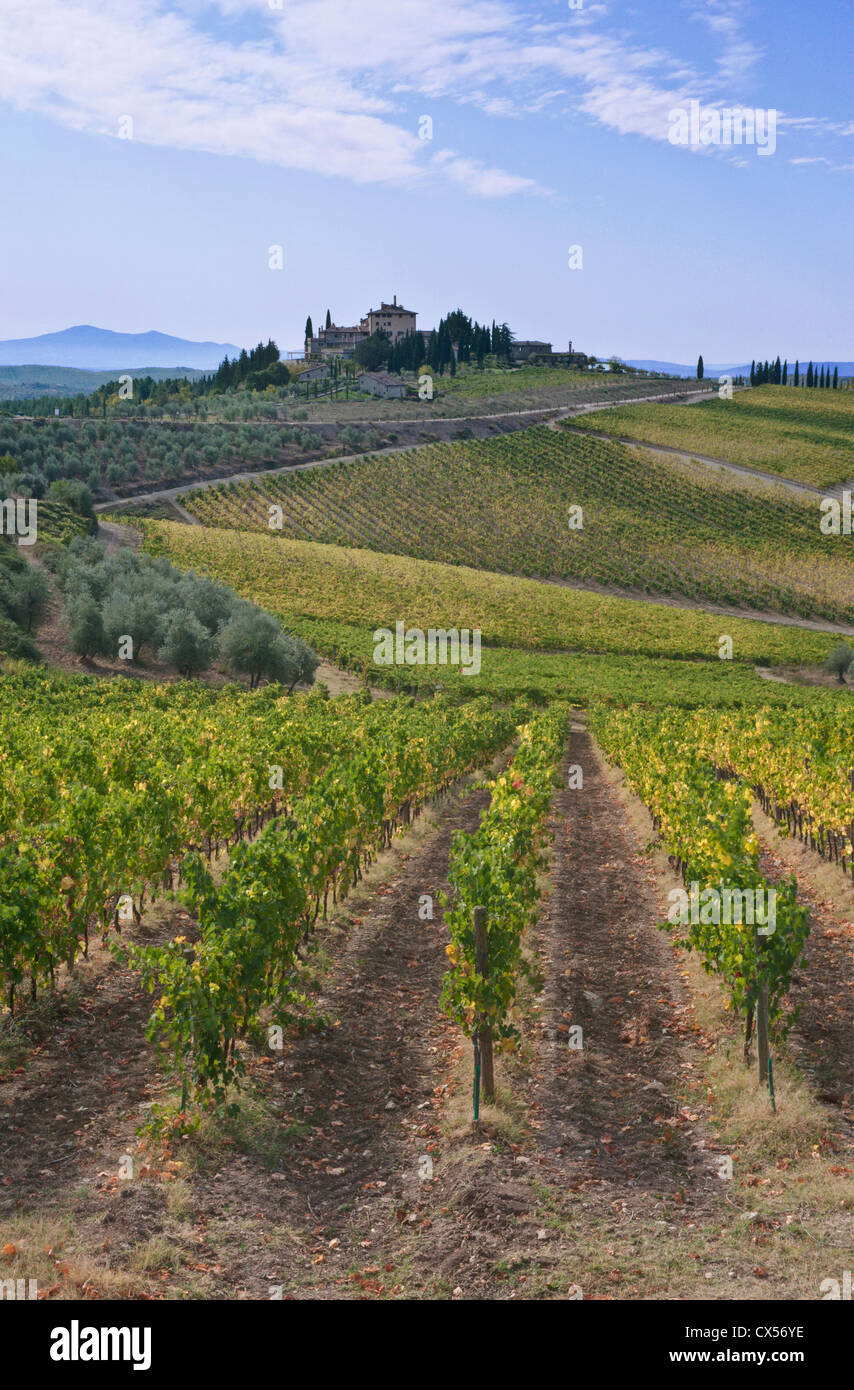 Chianti vineyard hi-res stock photography and images - Alamy