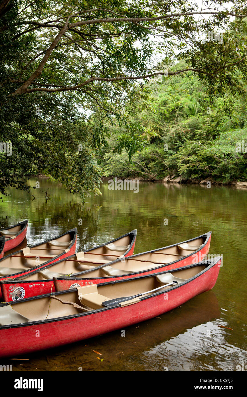 Macal river hi-res stock photography and images - Alamy