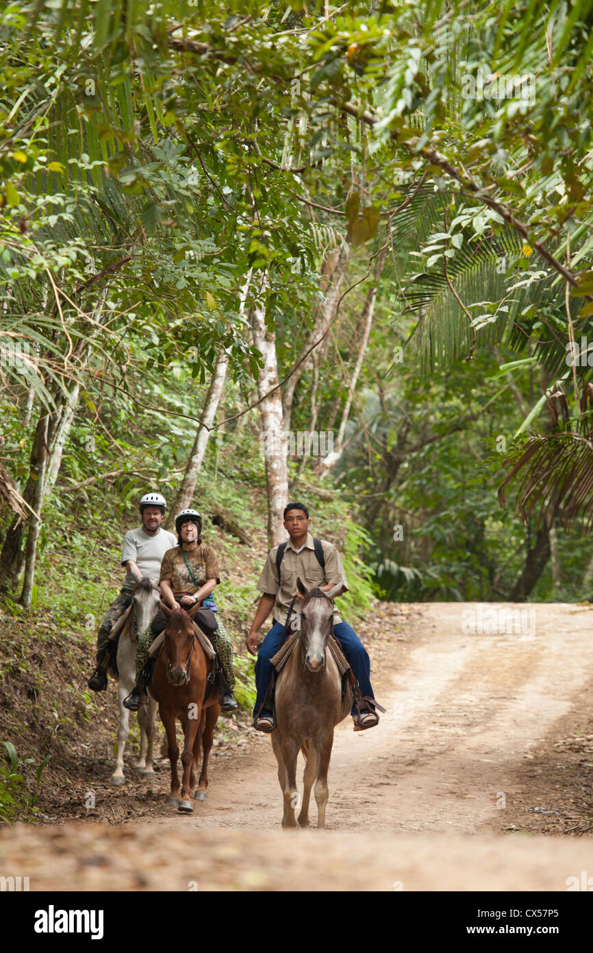 Horseback riding tour in Central America, Belize. (MR Stock Photo - Alamy