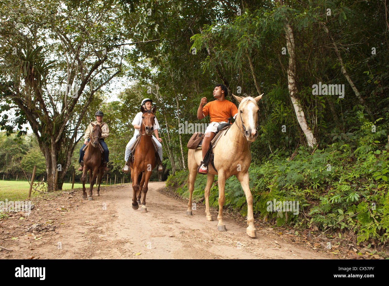 Horseback riding tour in Central America, Belize Stock Photo - Alamy