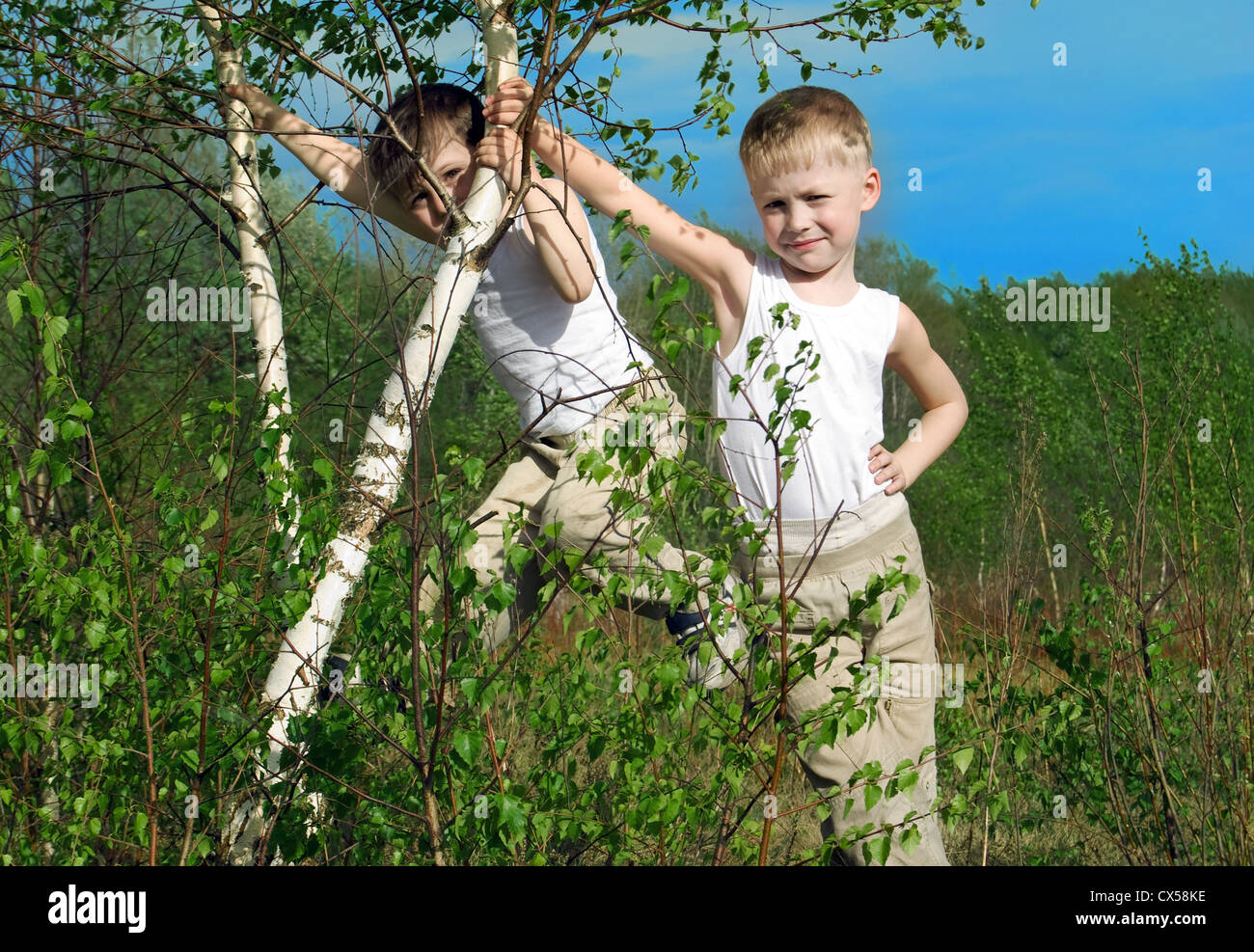 two boys are played near a birch Stock Photo - Alamy