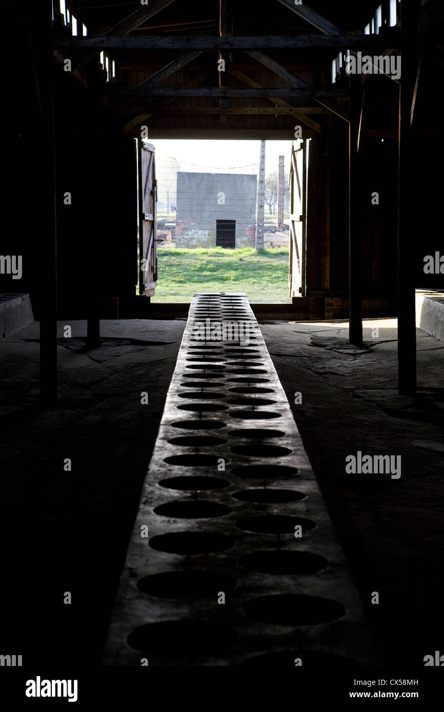 auschwitz, barbed, barbwire, barrack, birkenau, building, camp, chamber ...