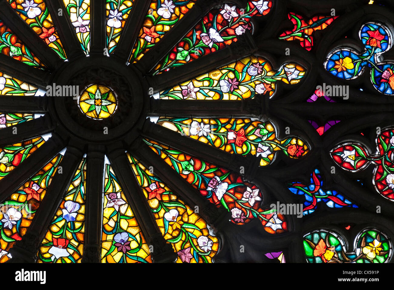 Stained Glass detail. National Basilica. Quito, Ecuador Stock Photo - Alamy