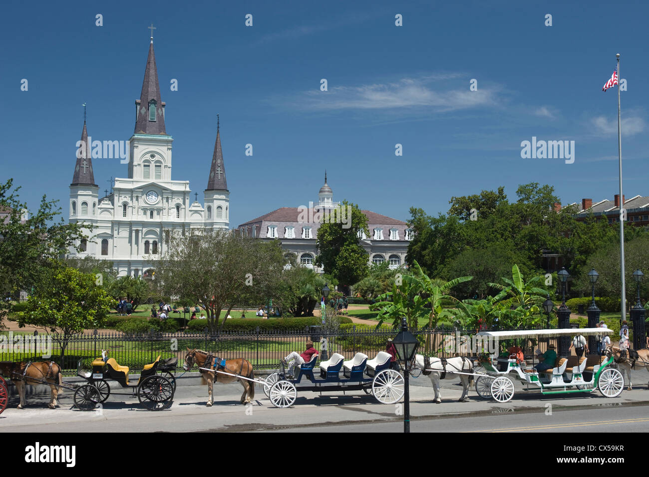 HORSE CARRIAGE SIGHTSEEING EXCURSION TOURS JACKSON SQUARE FRENCH ...