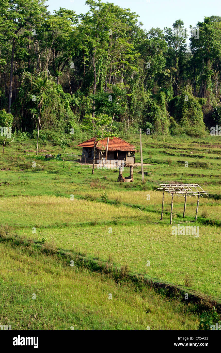 Kerala Hut Home Stock Photos & Kerala Hut Home Stock Images - Alamy
