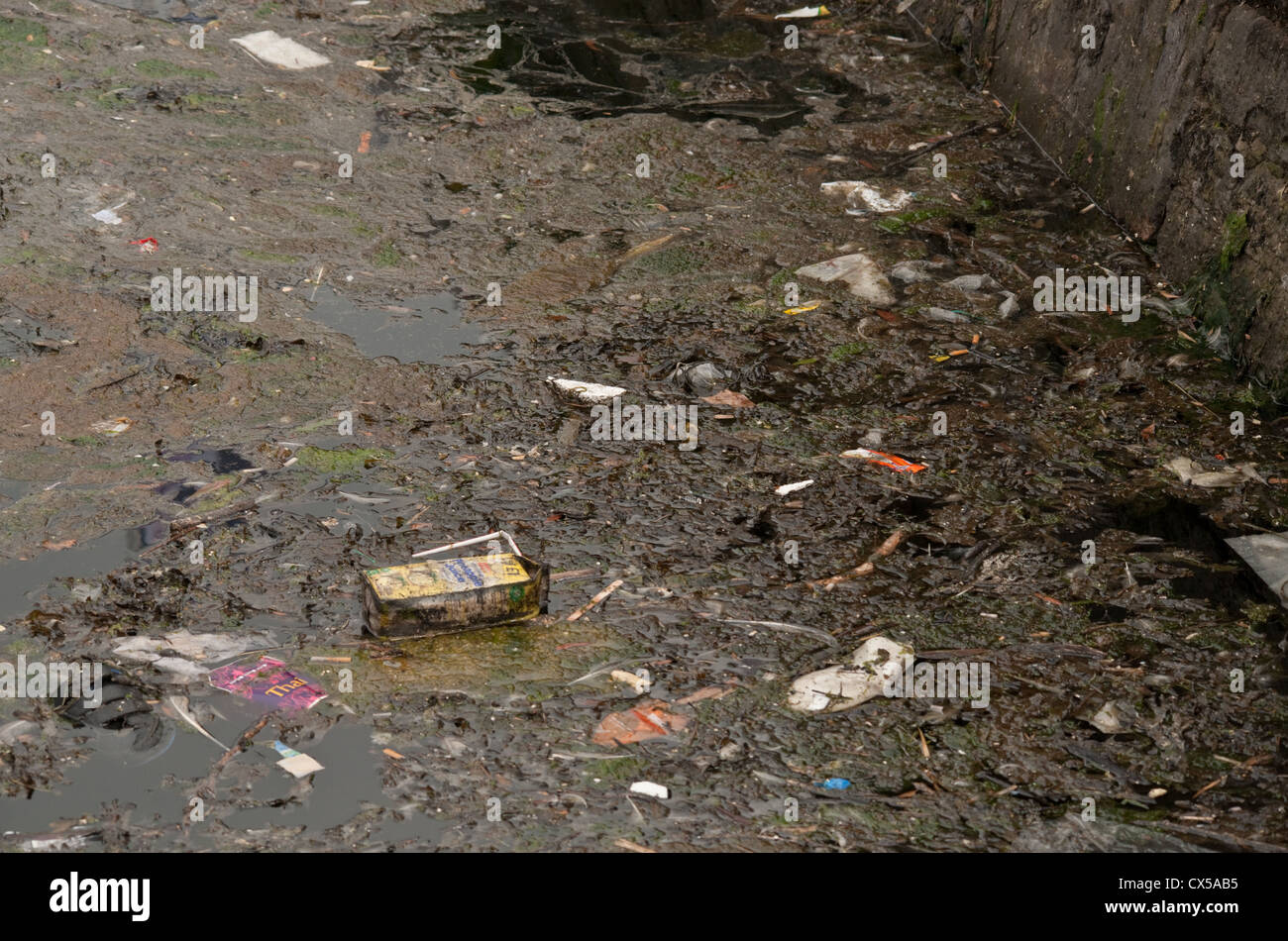 Inorganic Water Pollution