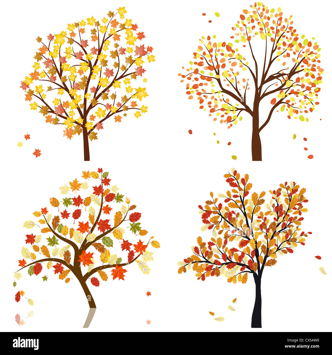 Set of four autumn tree. Vector illustration Stock Photo - Alamy