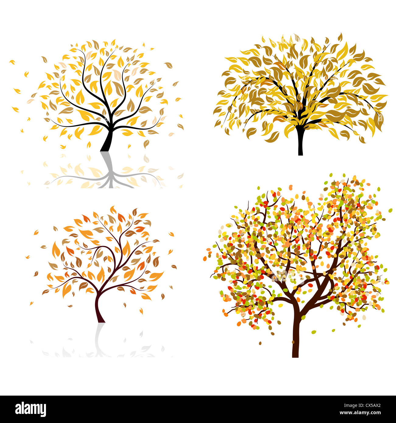 Set of four autumn tree. Vector illustration Stock Photo - Alamy