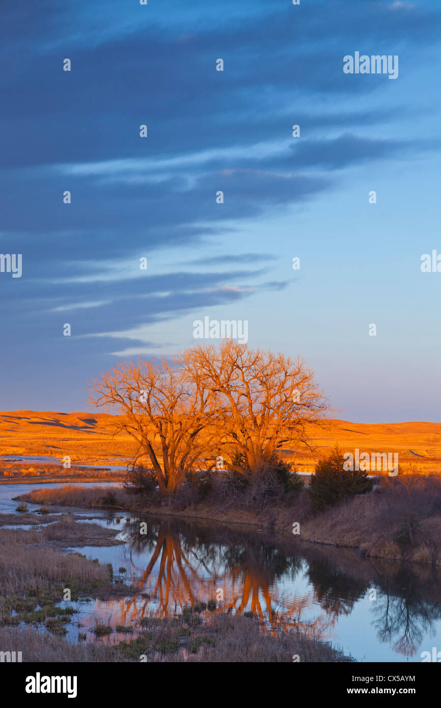 Calamus river hi-res stock photography and images - Alamy