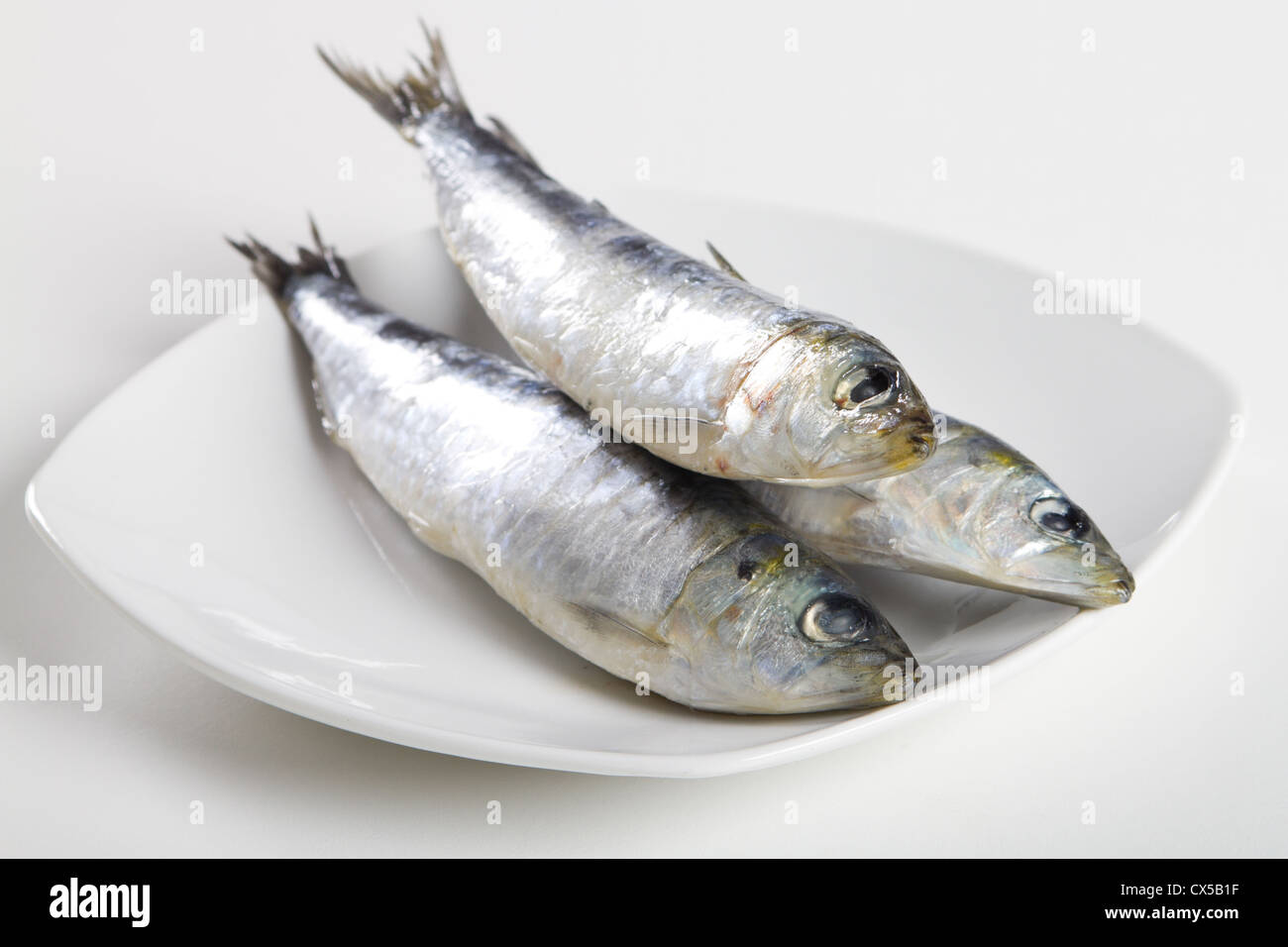Raw sardines hi-res stock photography and images - Alamy