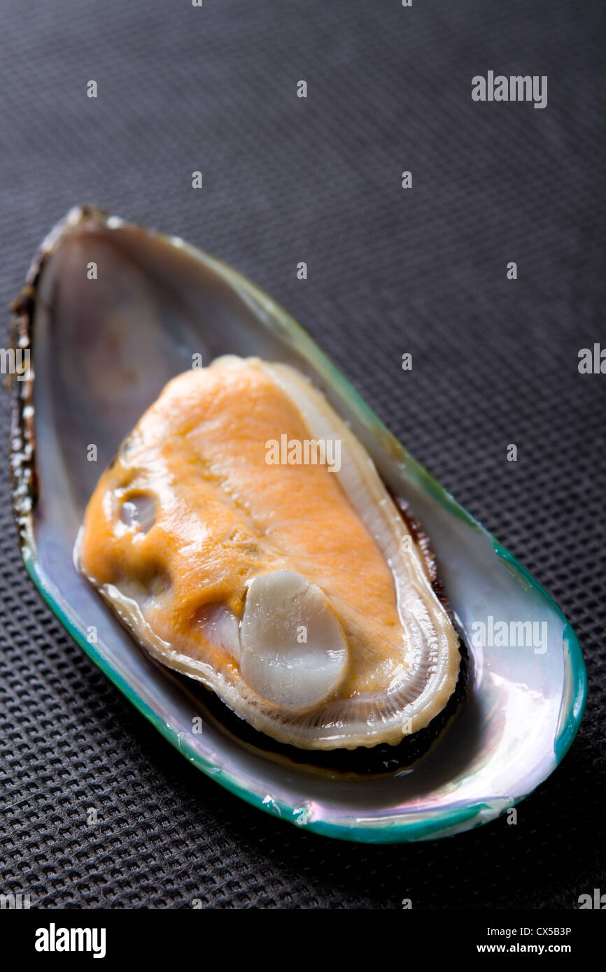 mussel on black background Stock Photo - Alamy