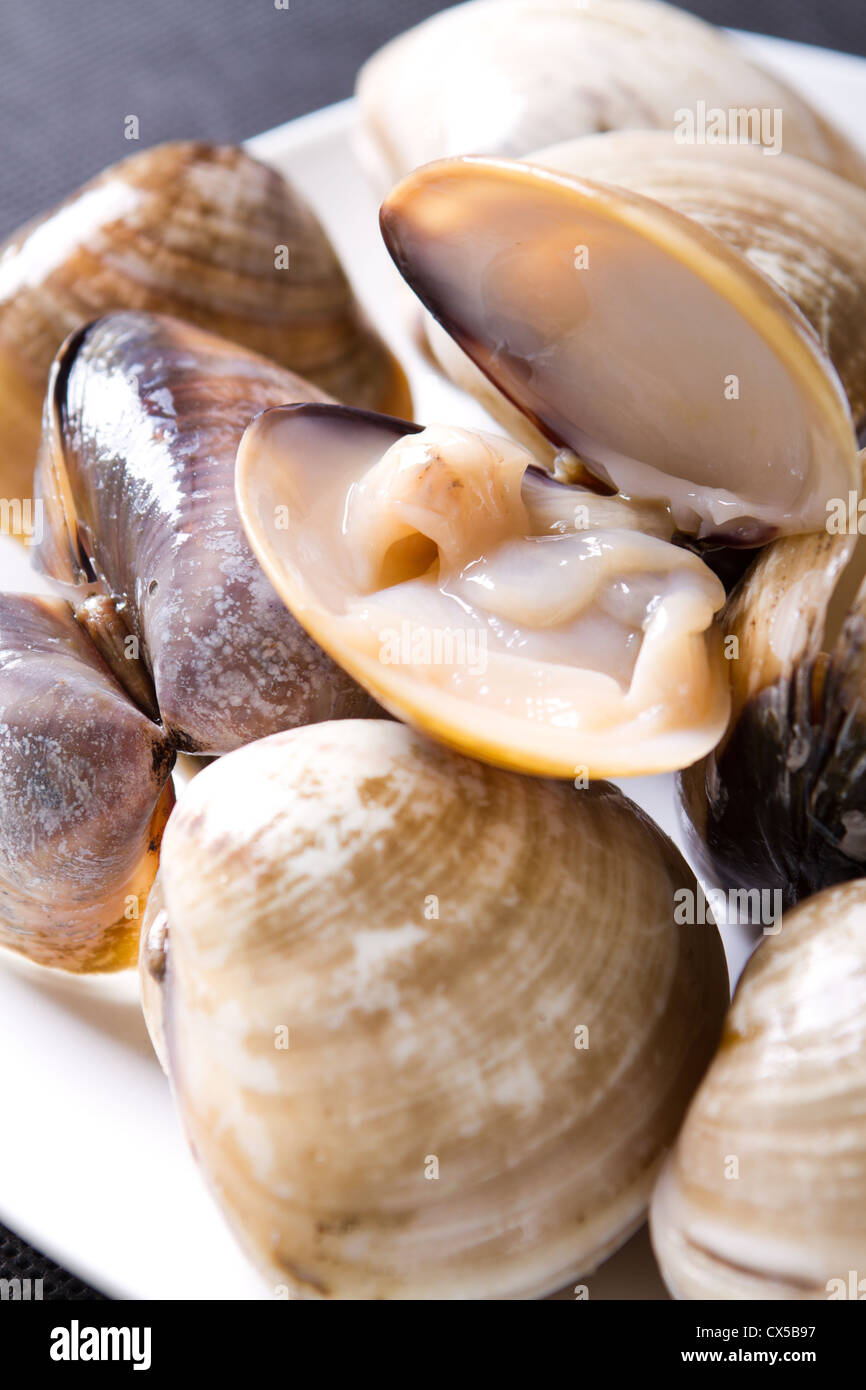 Clams meat hi-res stock photography and images - Alamy