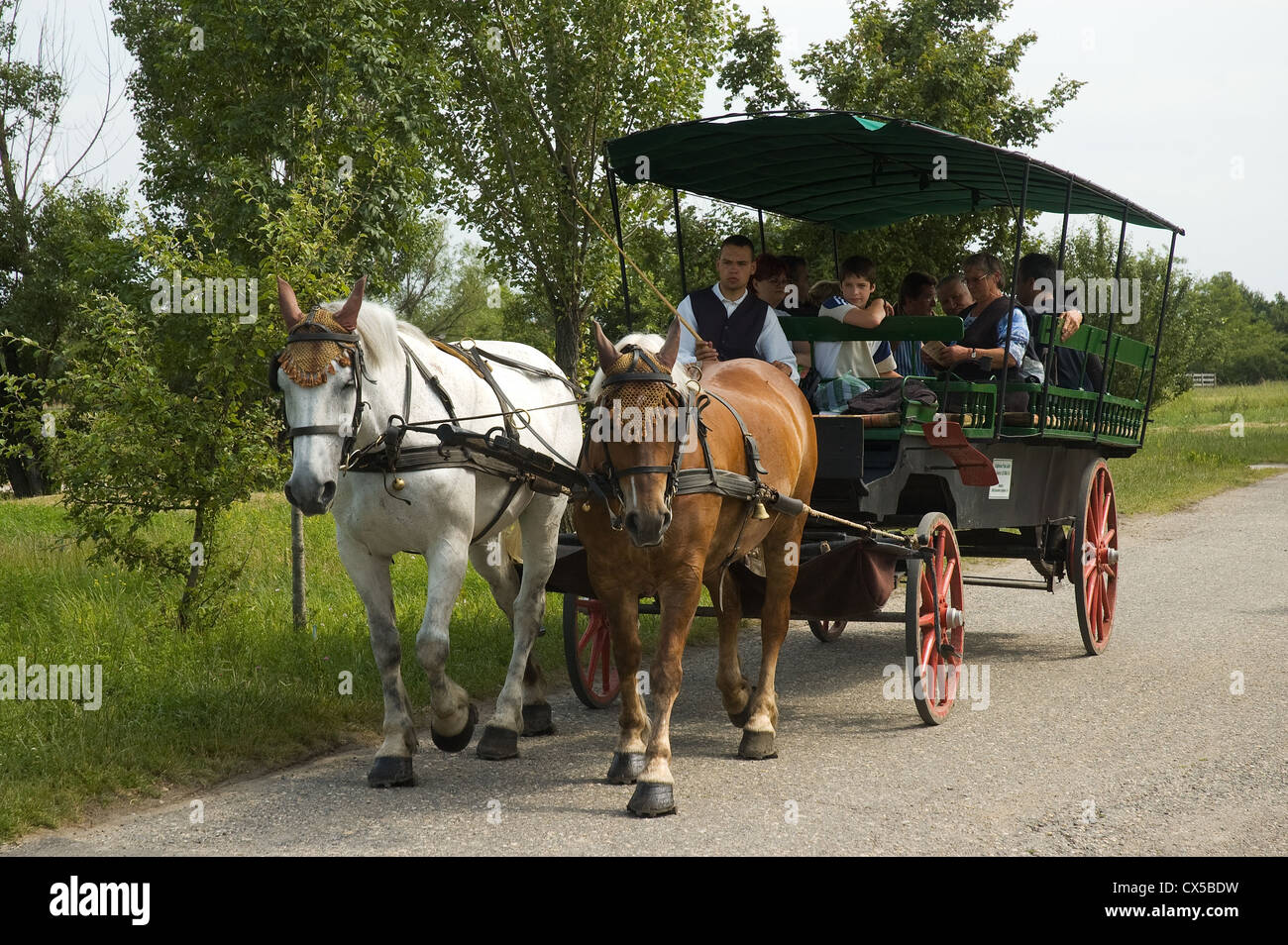 Open air carriage High Resolution Stock Photography and Images - Alamy