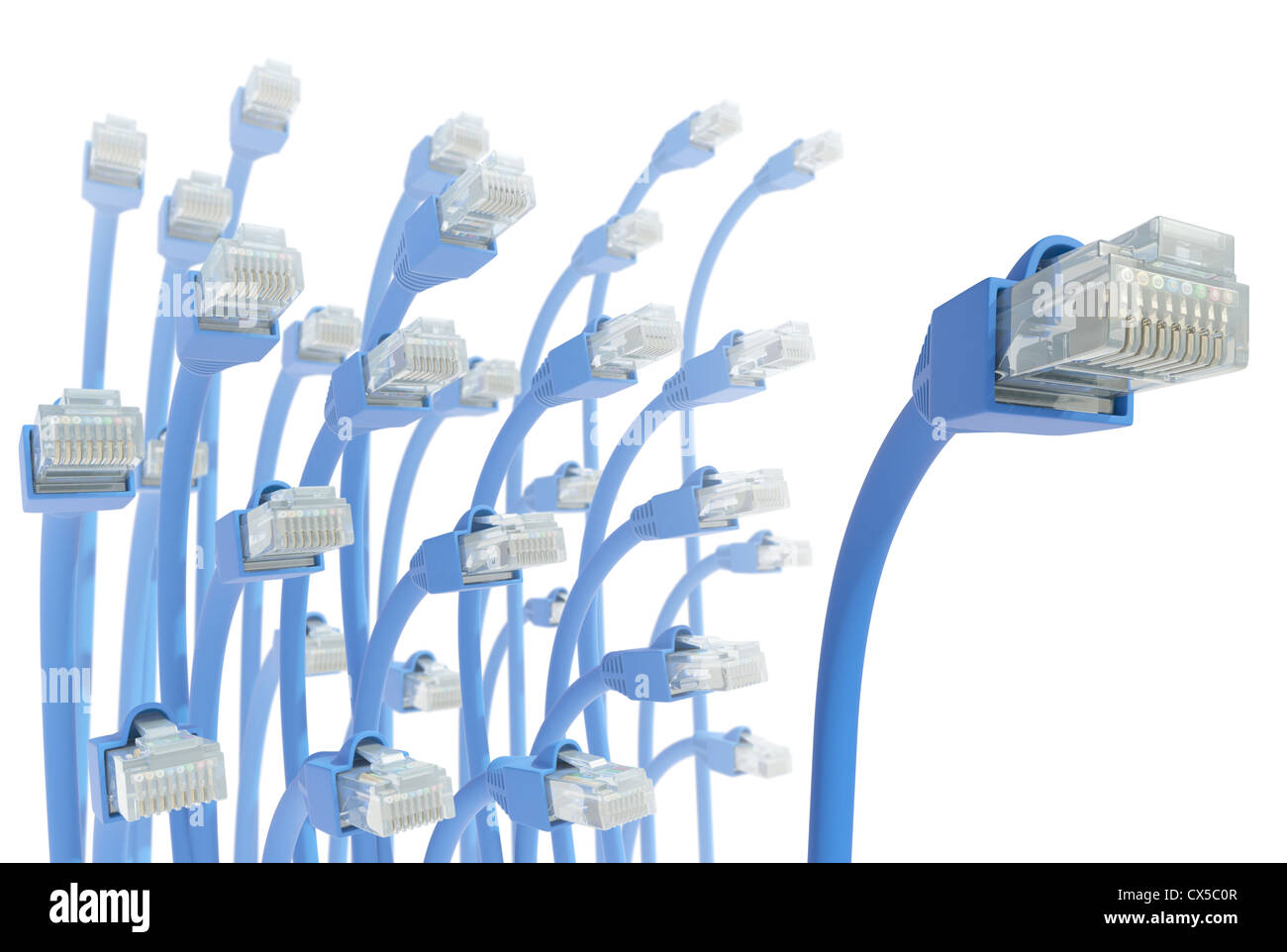 Several RJ45 cables in the background and one in foreground Stock Photo ...