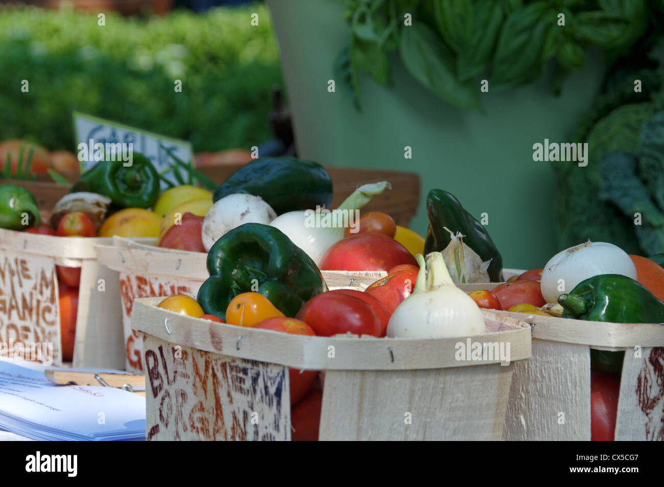Salsa kits on display at the Williamsburg Farmer's market Stock Photo ...