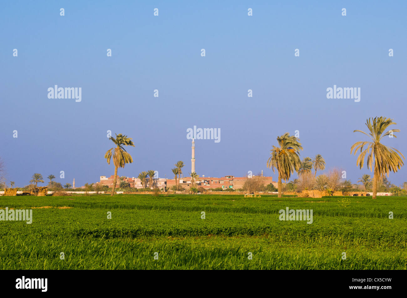 Minya hi-res stock photography and images - Alamy