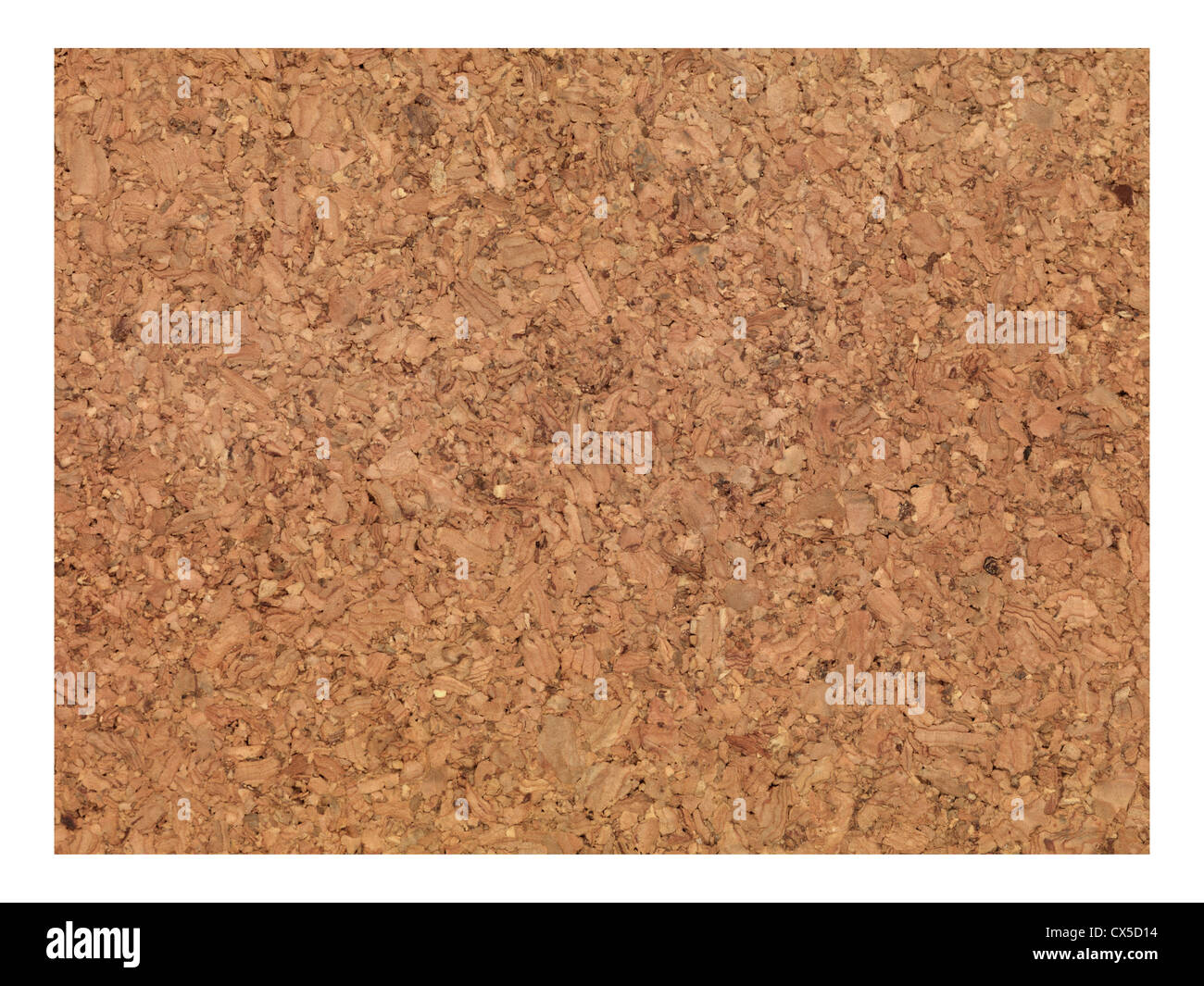 A cork board isolated against a white background Stock Photo - Alamy