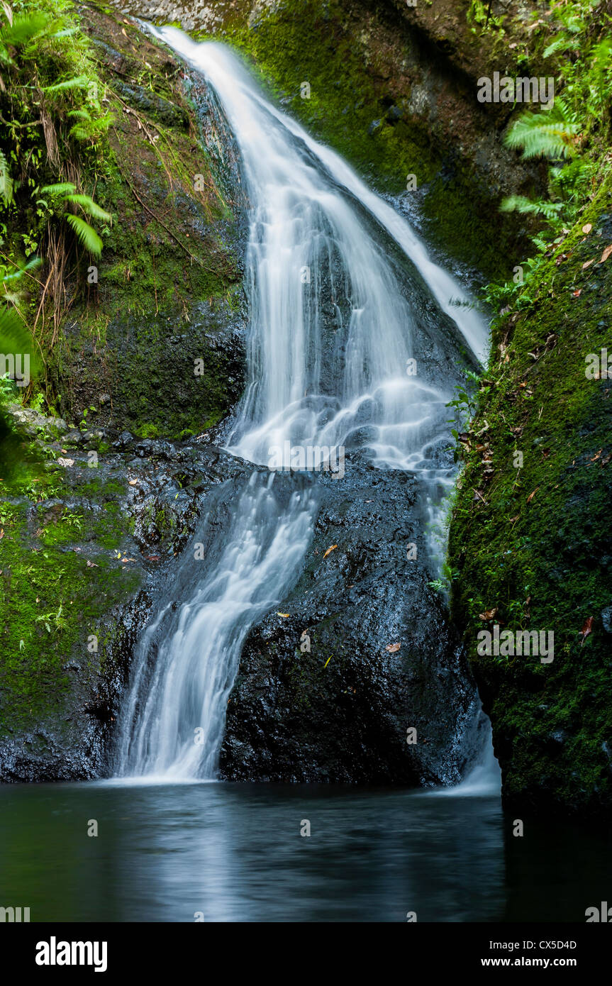 Raratonga waterfall hi-res stock photography and images - Alamy