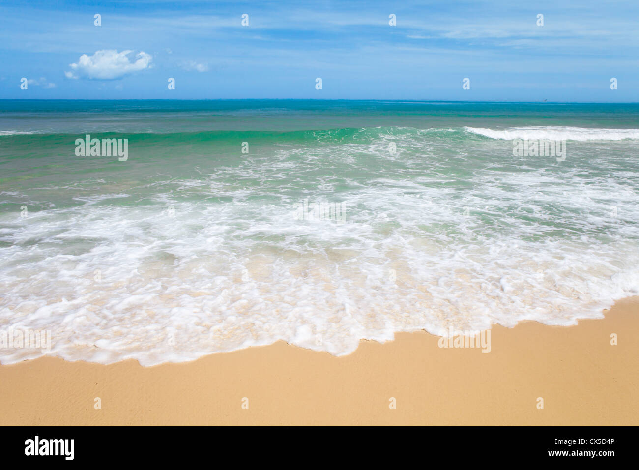 nice clean tropical beach Stock Photo - Alamy
