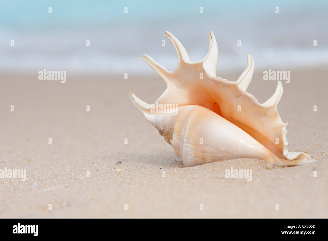 Nice sea wave hi-res stock photography and images - Alamy