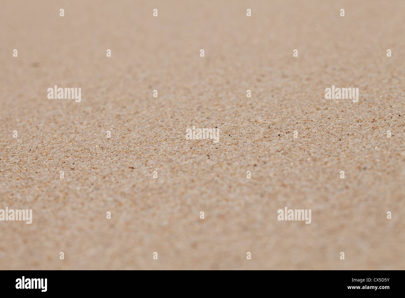 Dry clean beach sand background with narrow focus Stock Photo - Alamy