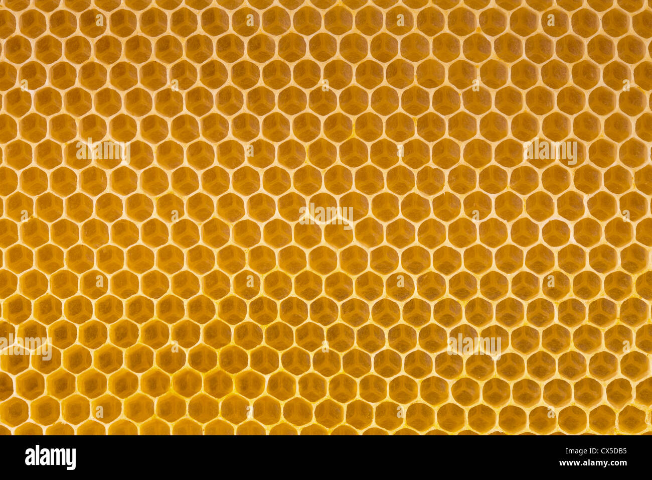 Honey comb hi-res stock photography and images - Alamy