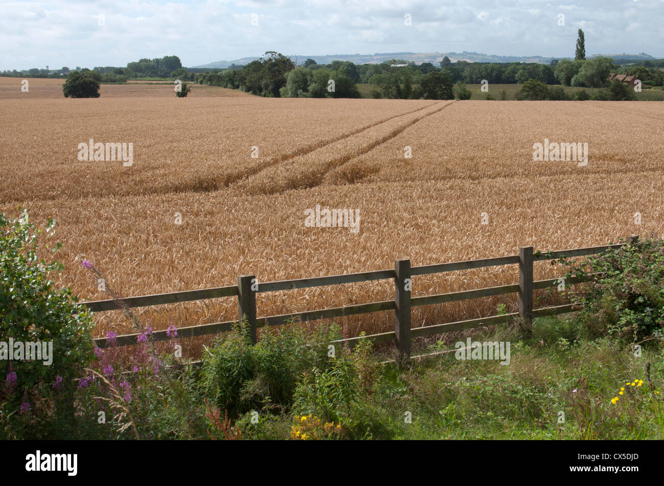 Stratford landscape hi-res stock photography and images - Alamy