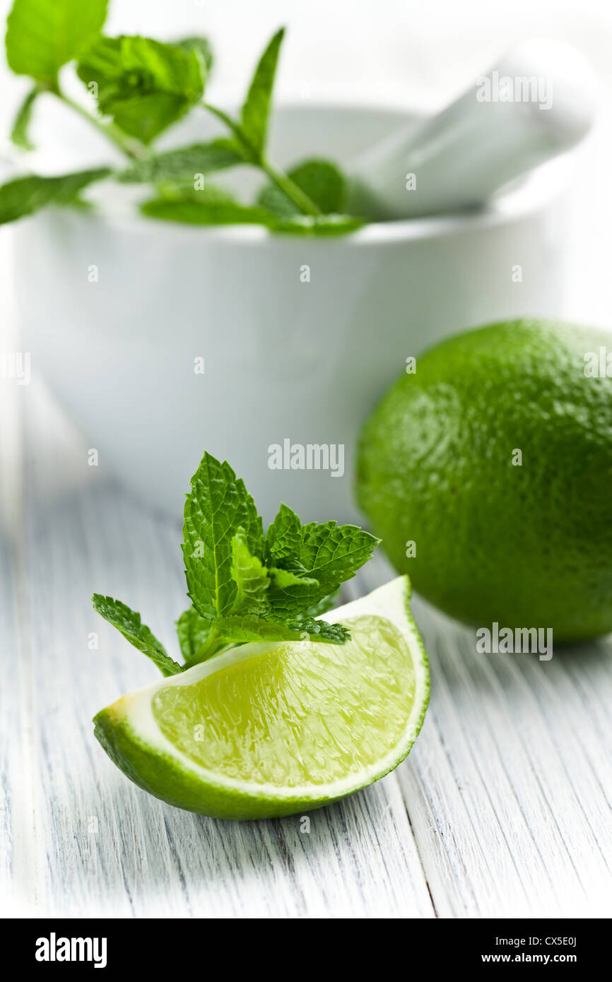 Relative Of Lime And Mint