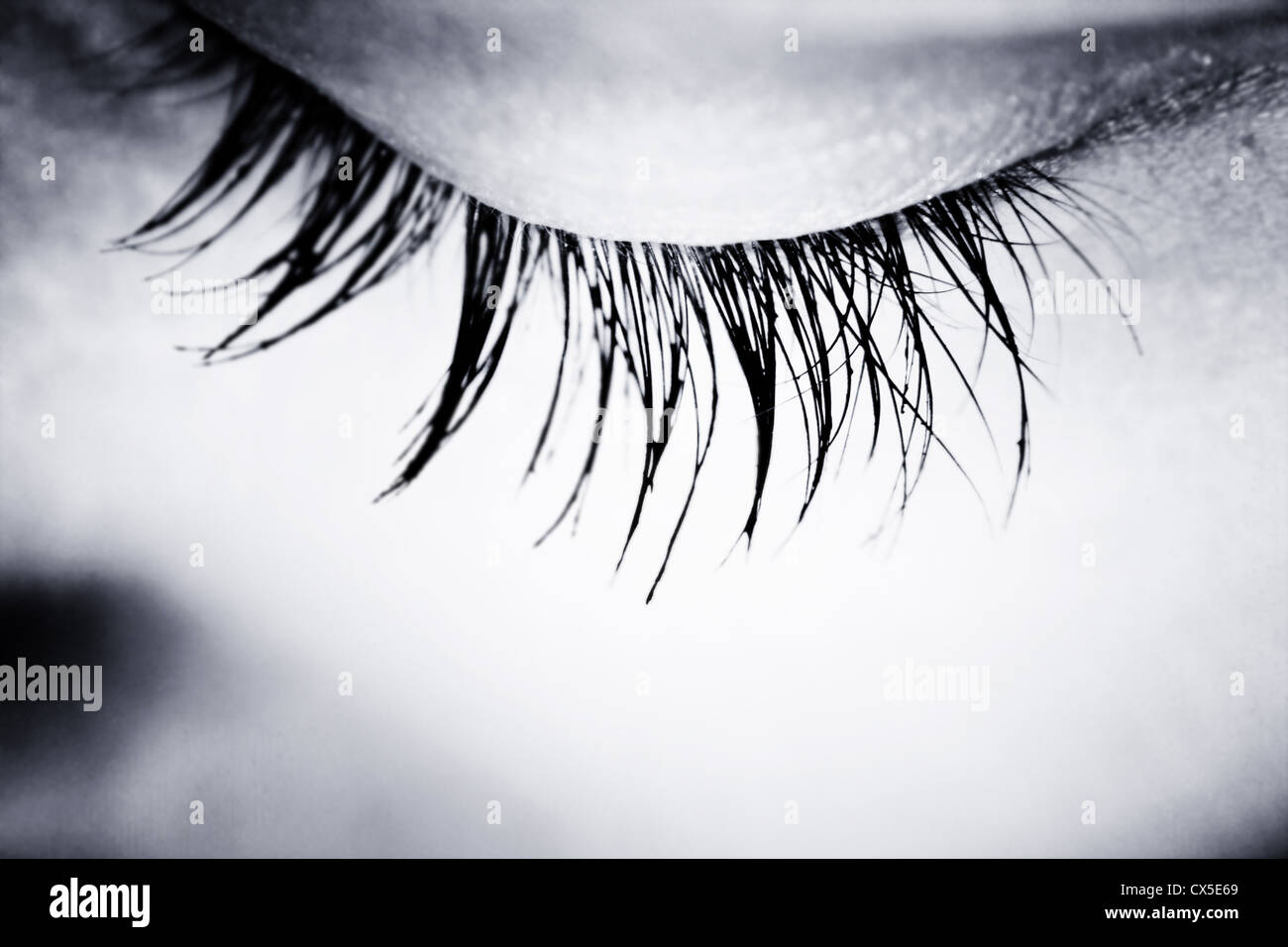 Great eye - MACRO Stock Photo - Alamy
